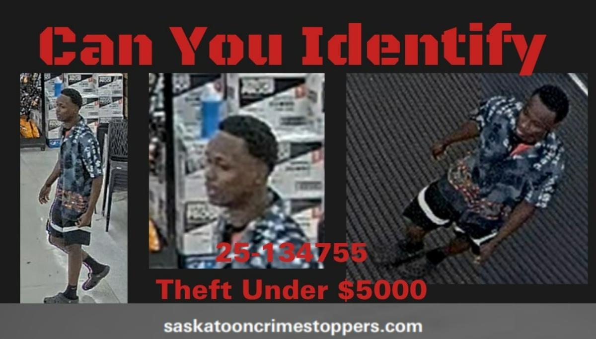 Suspects: Theft Under $5000