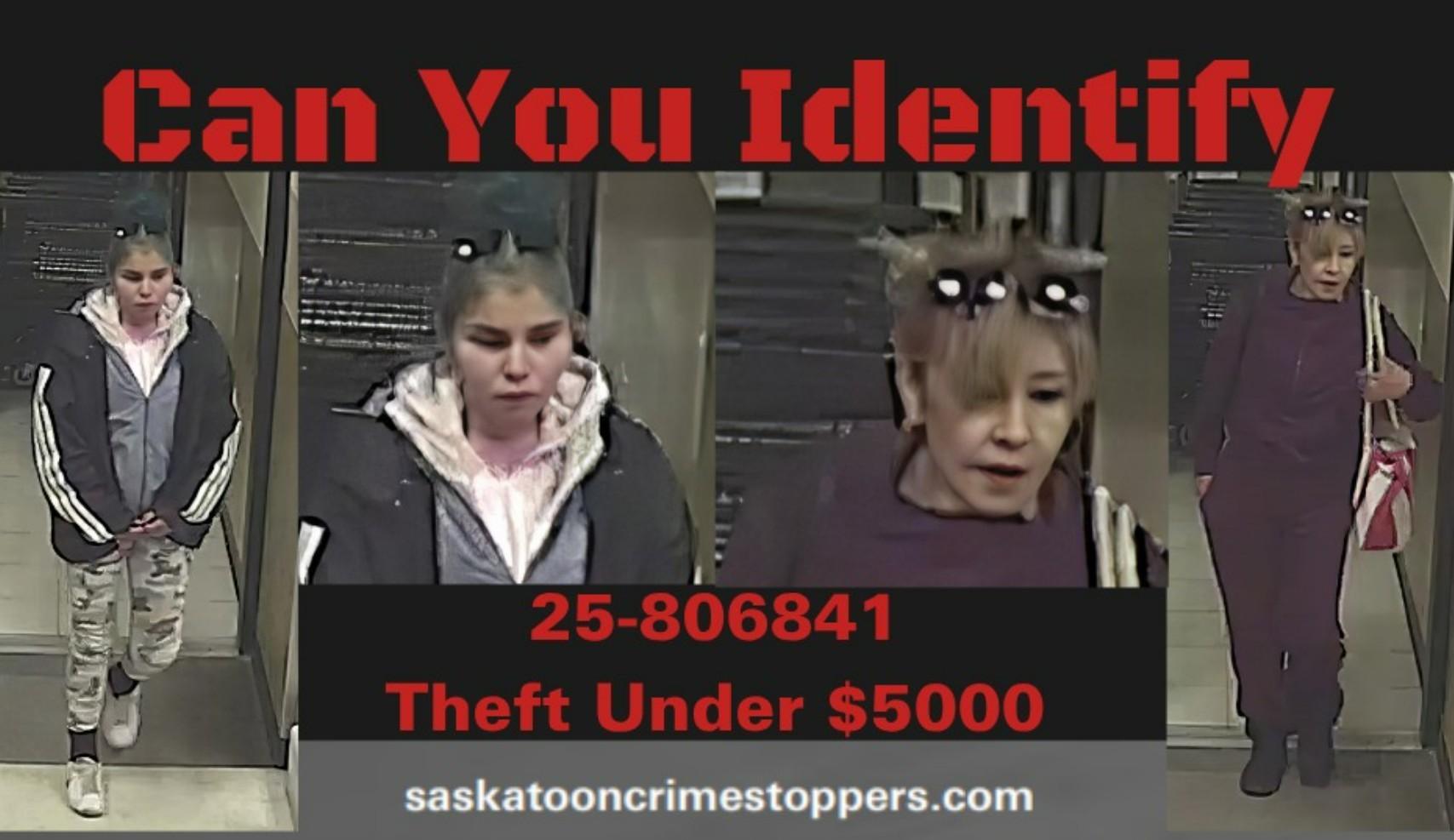Suspects: Theft Under $5000
