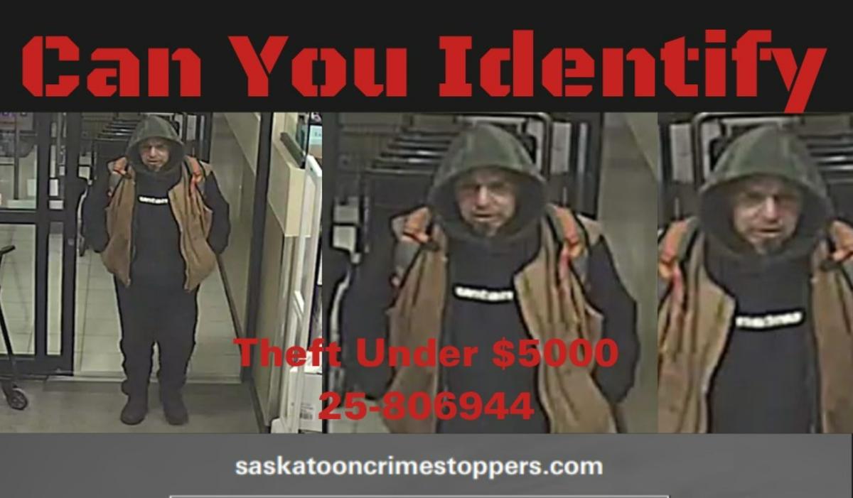 Suspects: Theft Under $5000